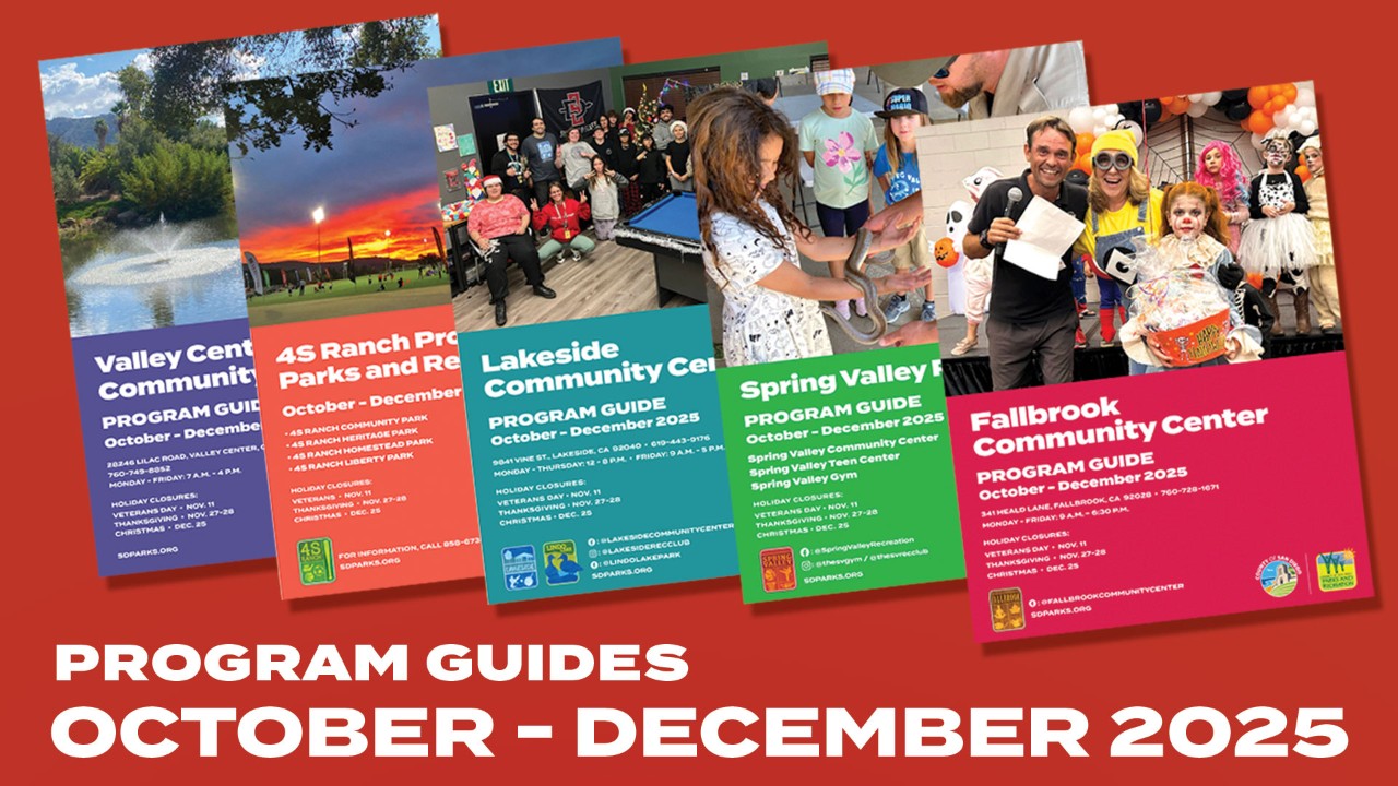 Activity & Program Guides