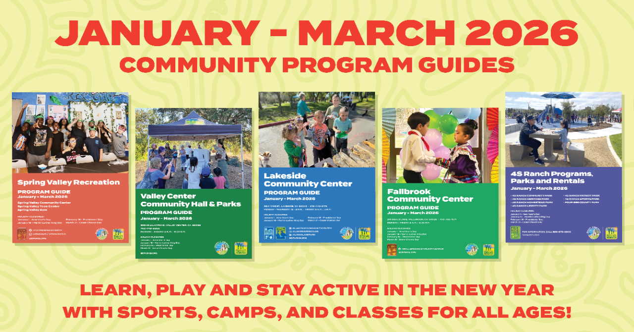 Activity & Program Guides